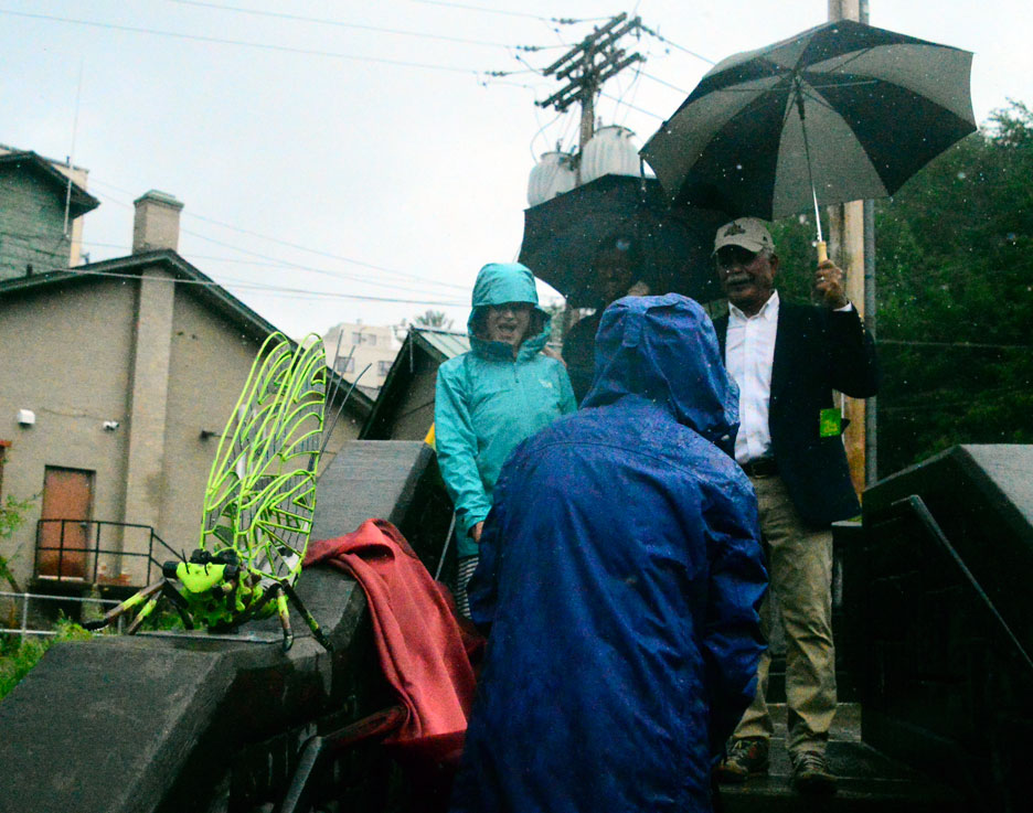 Bug Crawl begins in Saranac Lake | News, Sports, Jobs - Adirondack ...